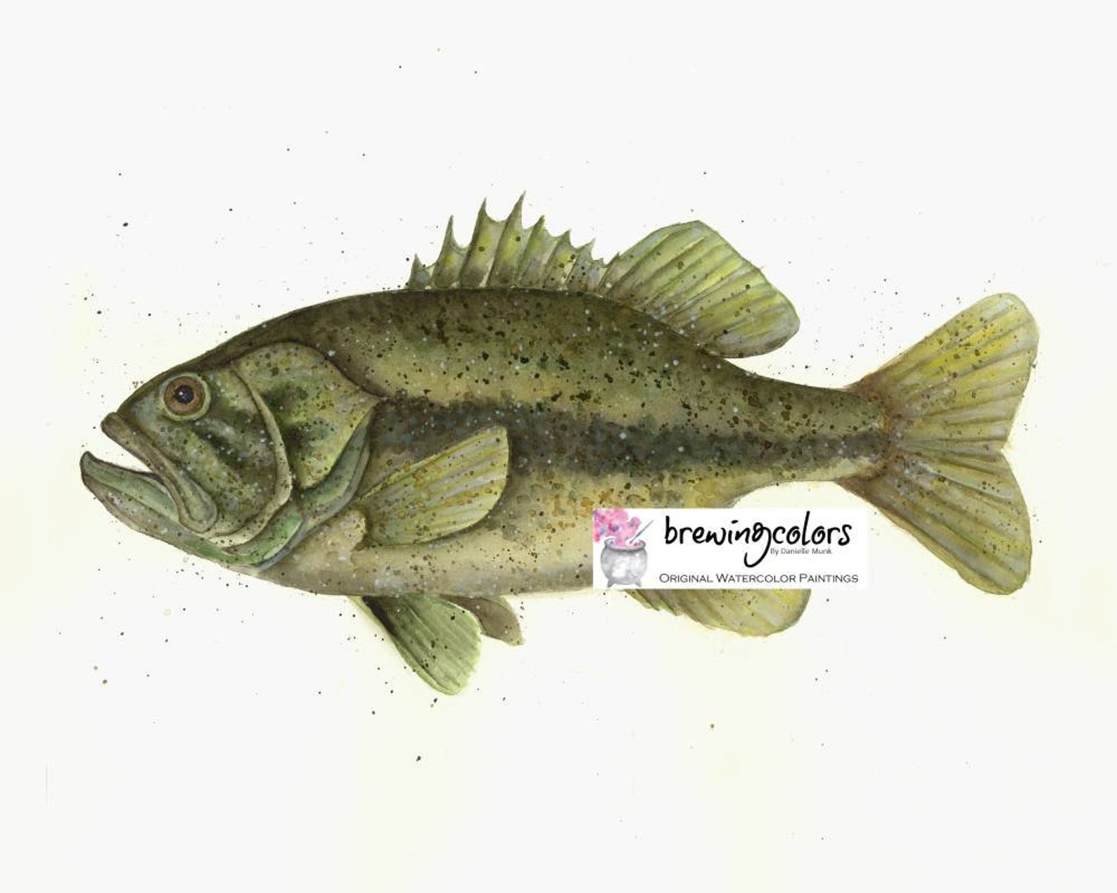 BASS ART PRINT Watercolor Bass Print Bass Painting Aqustic - Etsy