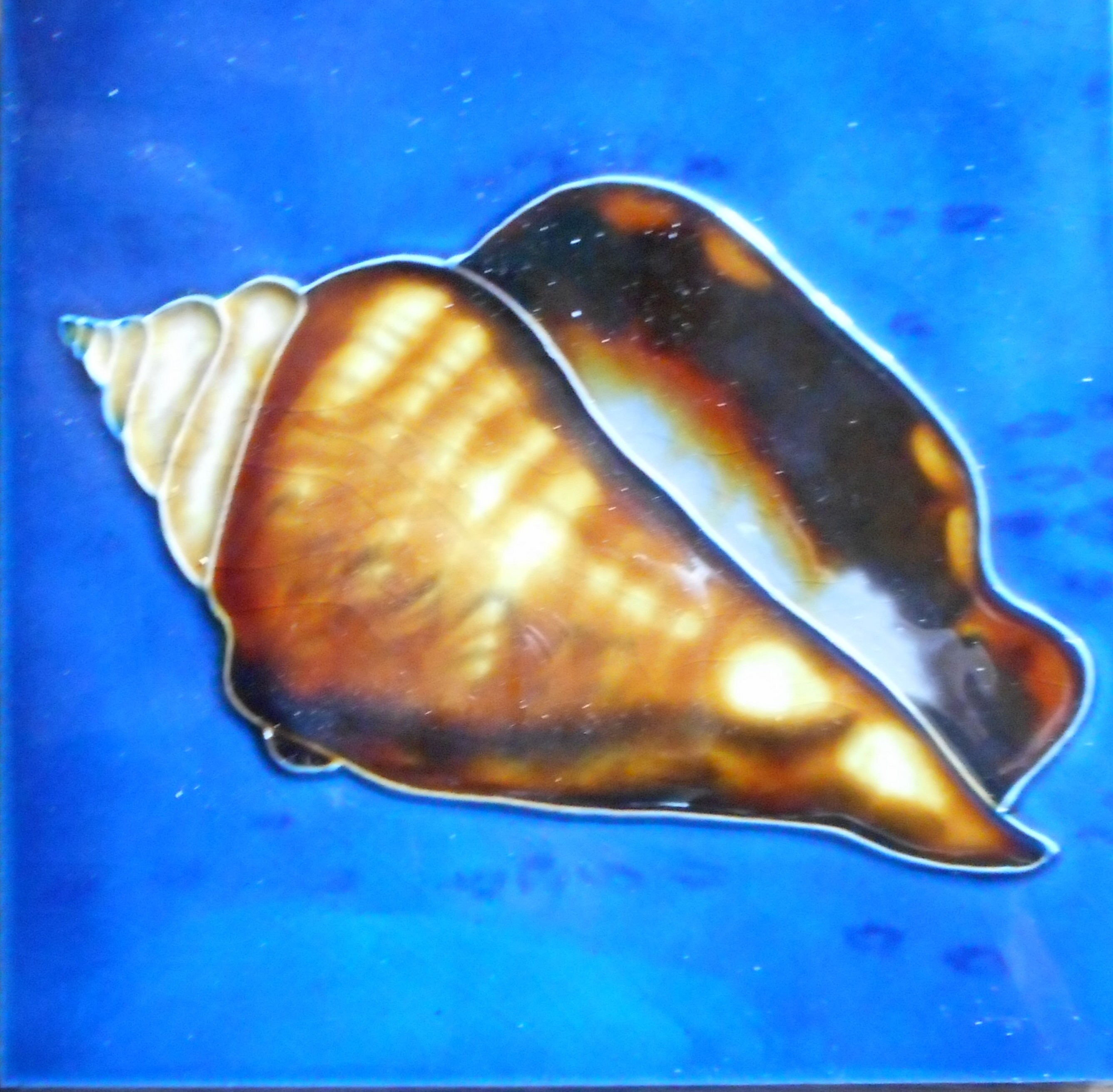Conch shell hand painted ceramic art tile 6 x 6 inches with | Etsy