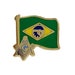 Brazil Flag and Masonic Lapel Pin LP 37 - Etsy