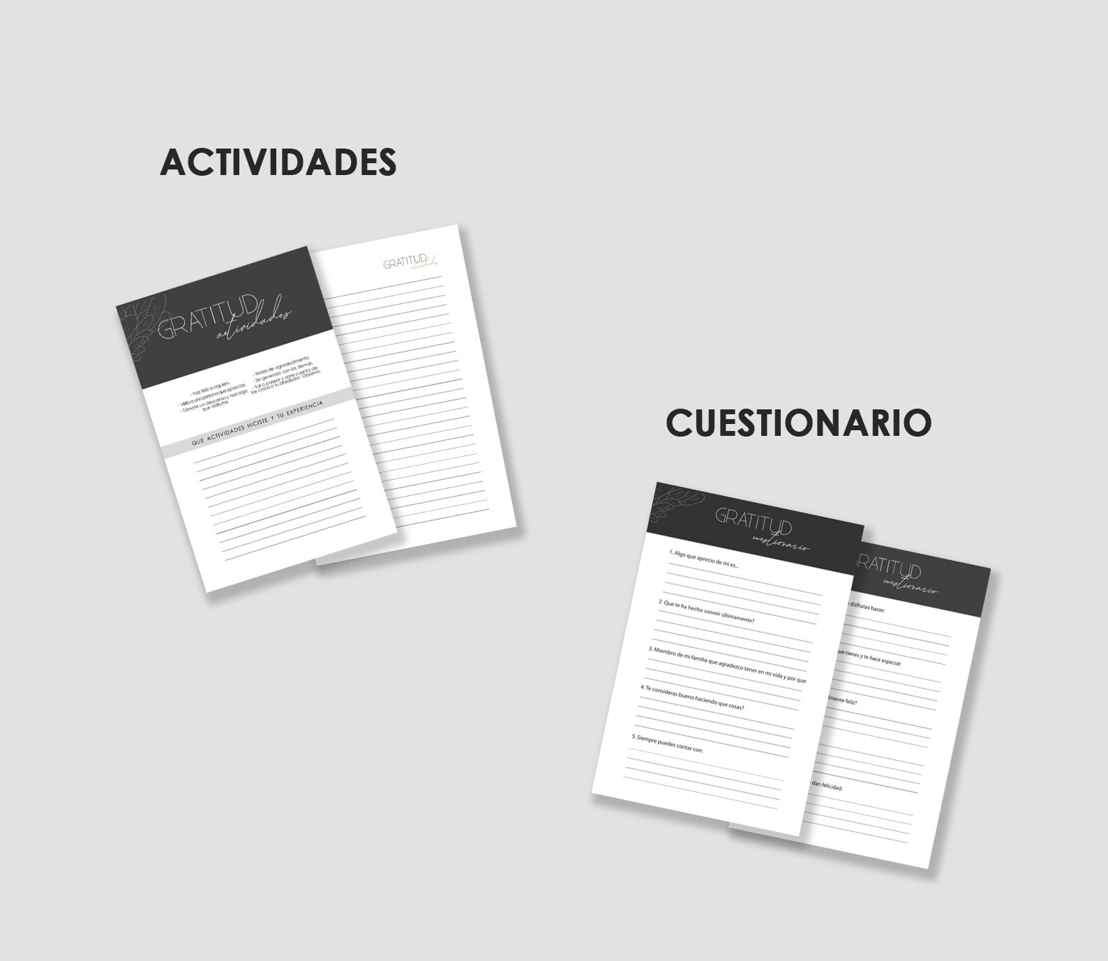 Diario De Gratitud En Español | Daily Gratitude Journal Spanish Edition ...