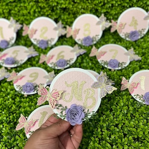 Butterfly Monthly Banner- Butterfly Party - Butterflies Monthly Cards ...