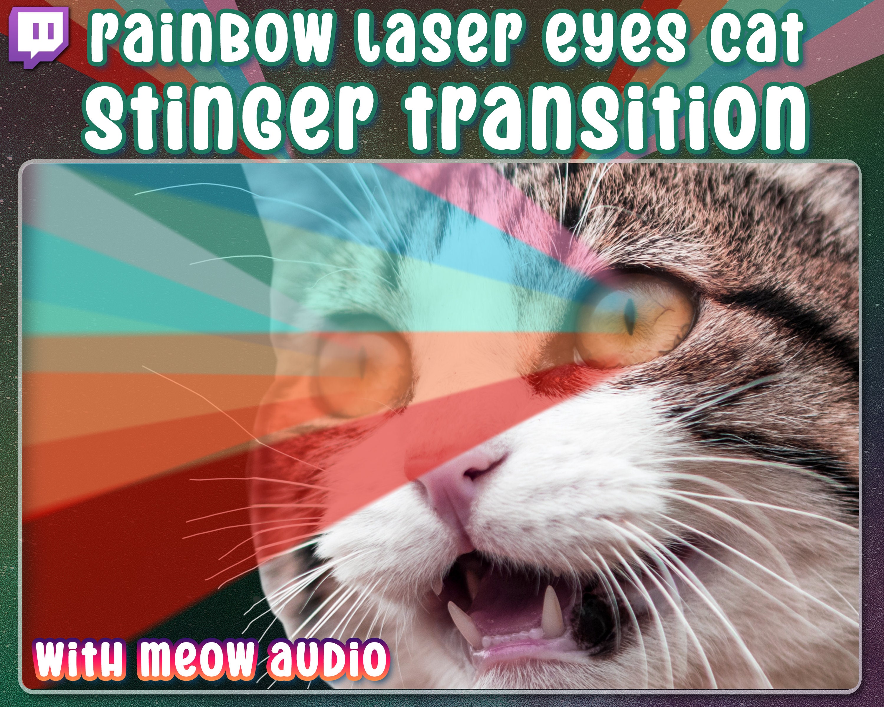 Laser Eye Cat Funny