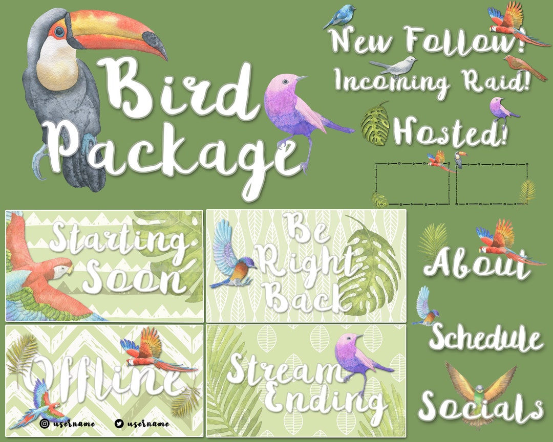 Bird Twitch PACKAGE Streamer Scenes, Panels & Alerts Jungle Wild Parrot ...