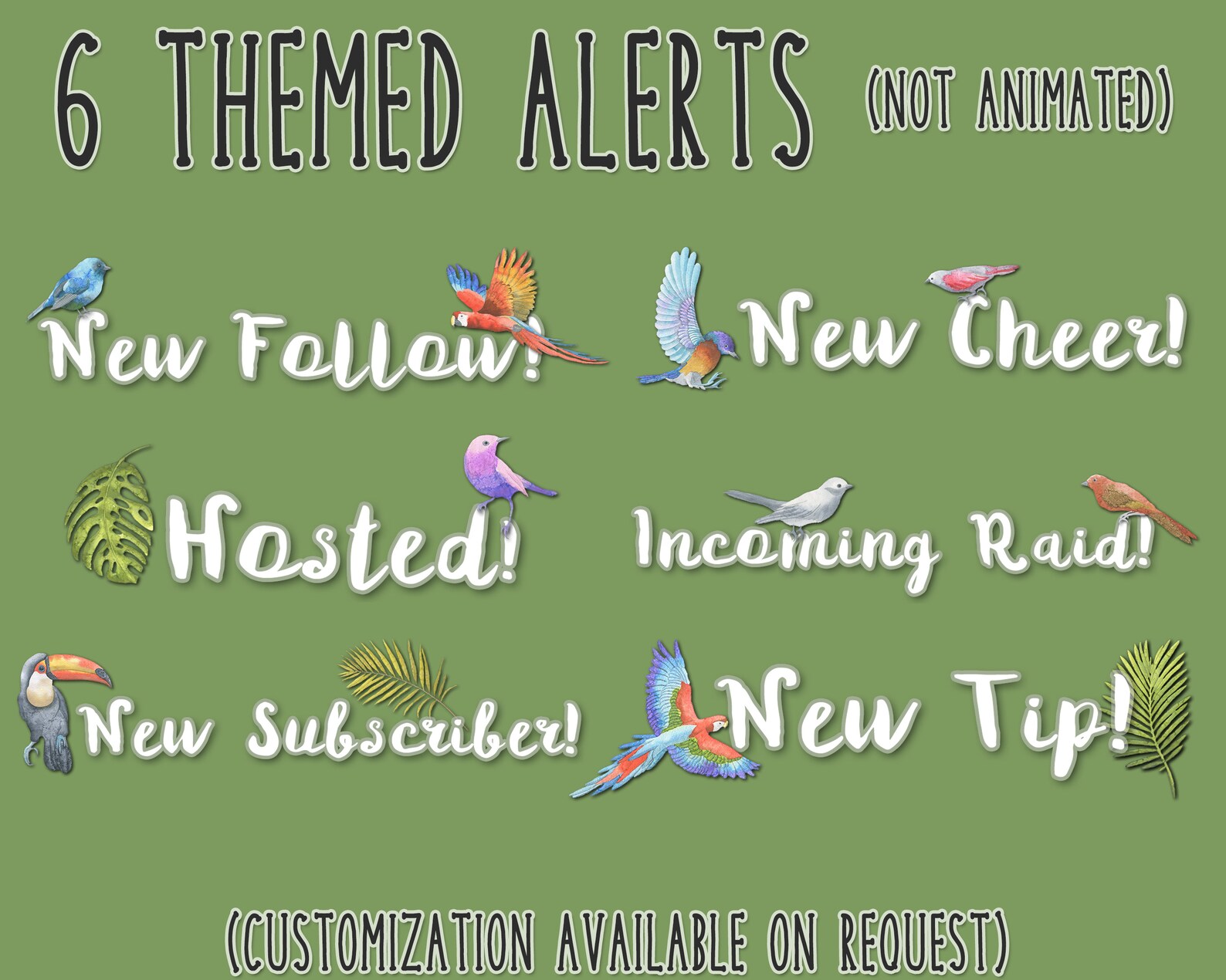 Bird Twitch PACKAGE Streamer Scenes Panels & Alerts - Etsy