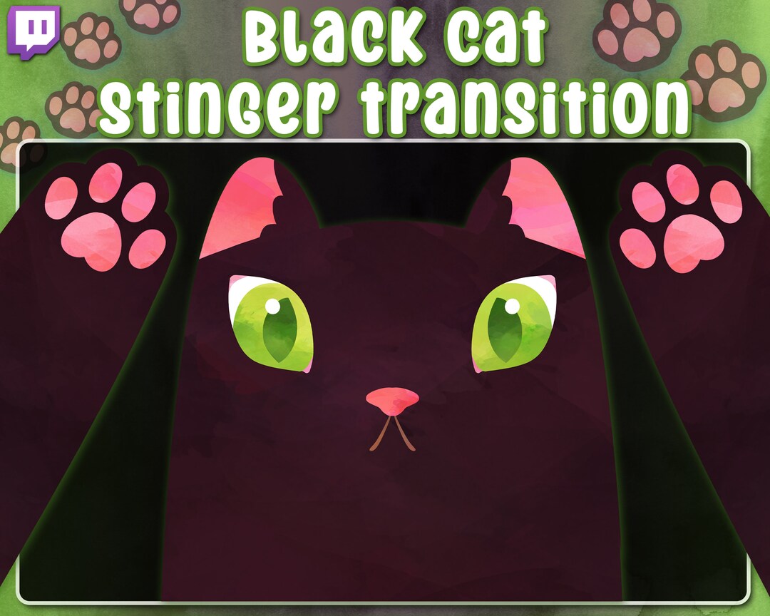 Black Cat Stinger Transition ANIMATED Streamer Transition Twitch Kitty ...