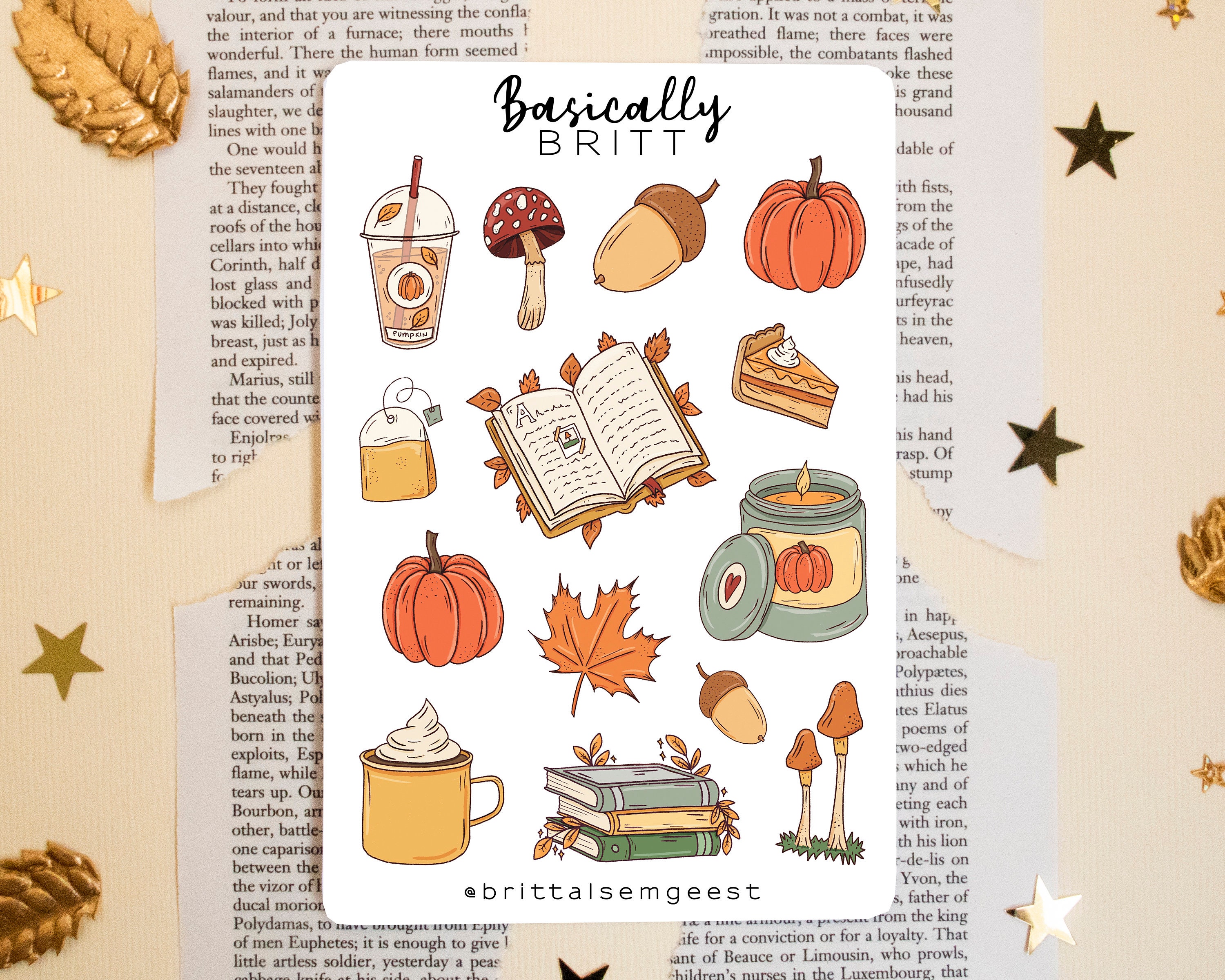 Autumn Stickersheet Bullet Journal Stickers Cute BUJO | Etsy