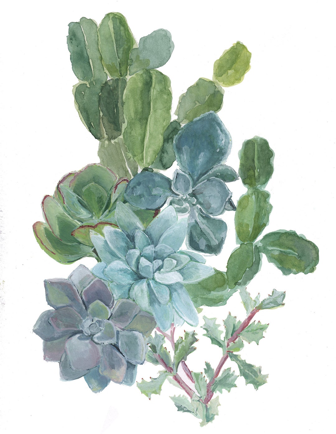 Succulent Composition - Art Print, Botanical, Watercolor, Gouache, Wall ...