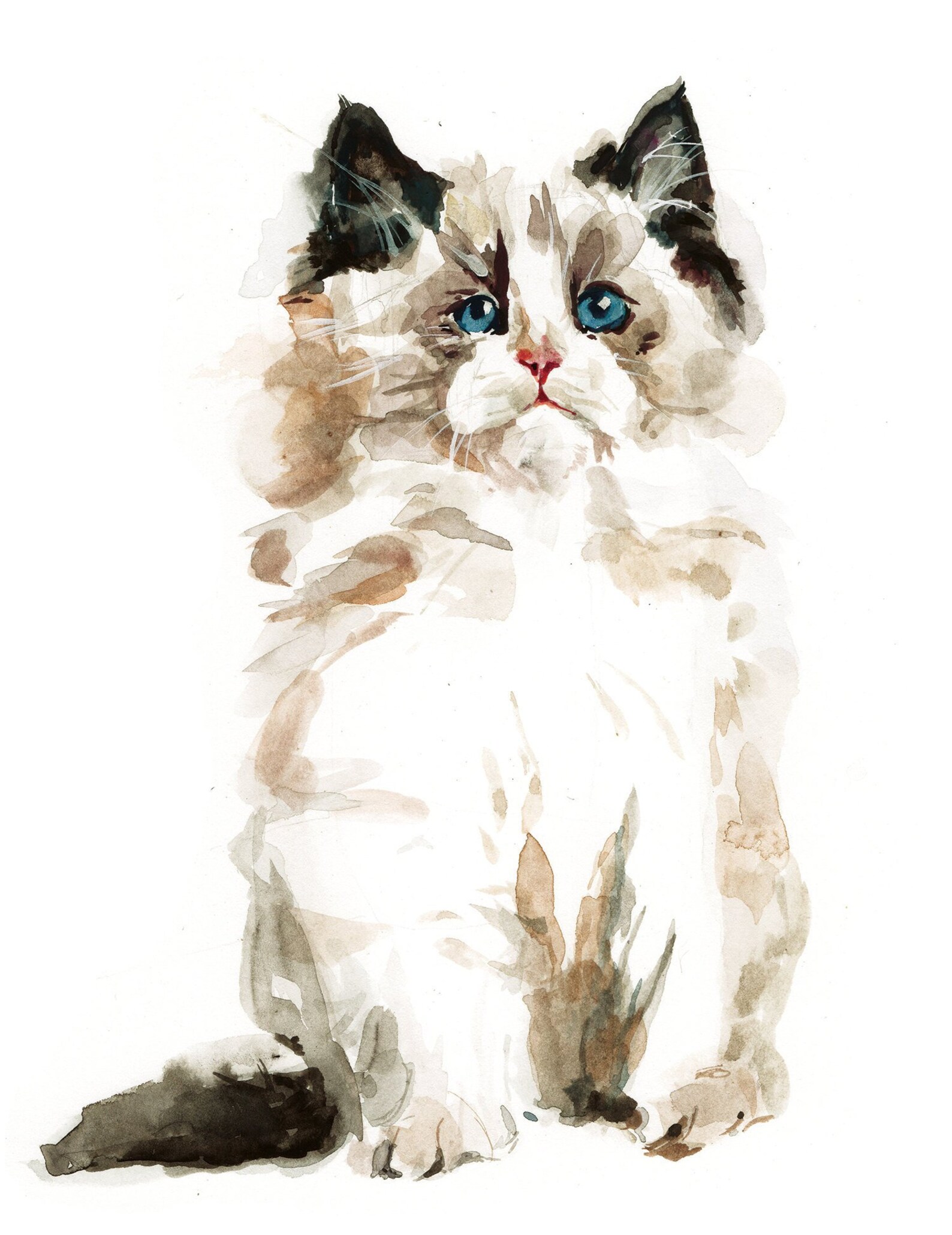 Cat Print | Ragdoll | Kitten | Cat Illustration | Watercolor ...