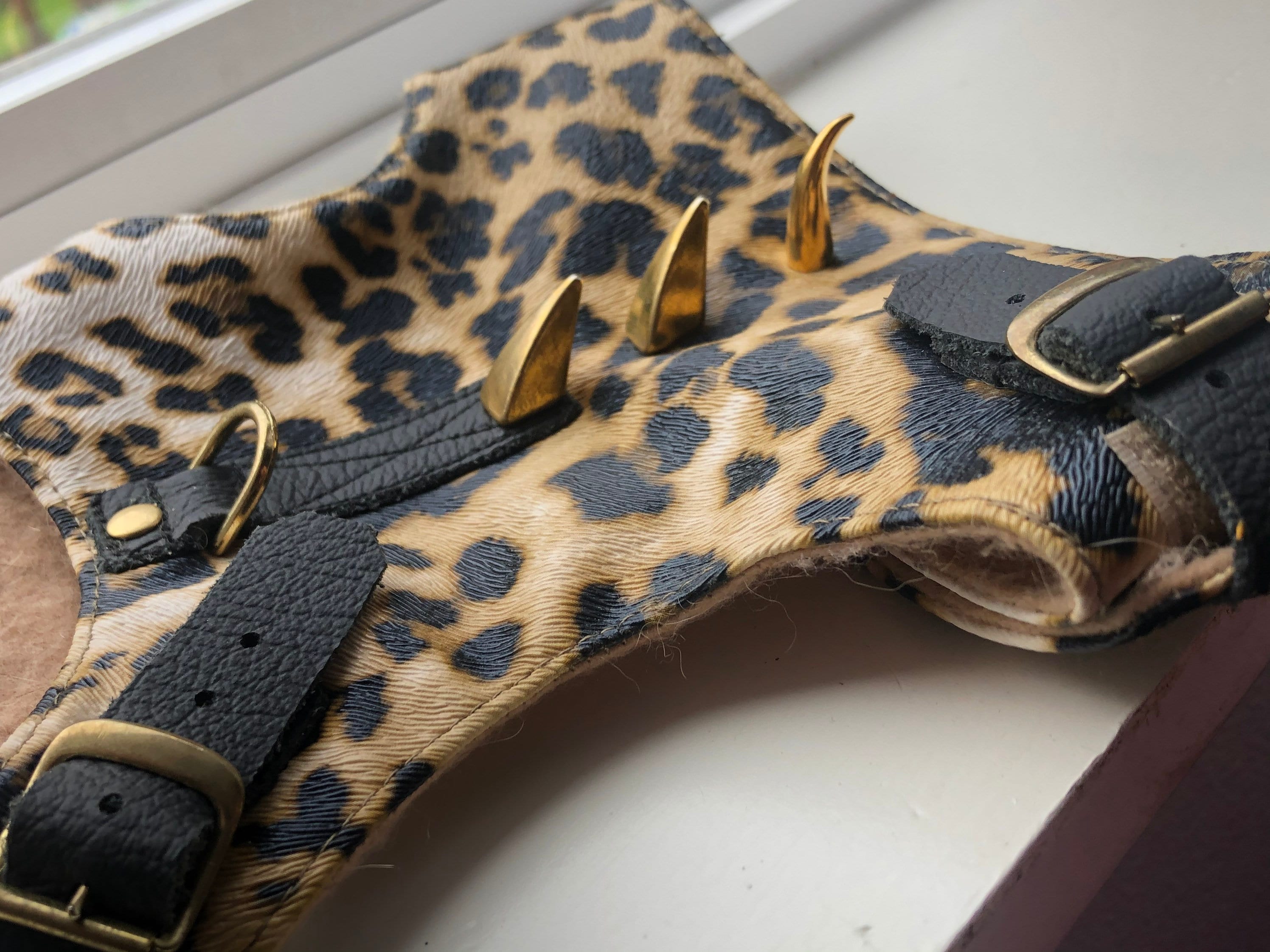 Cheetah Print Cat Harness Will Be Based on Your Cat Measurements to ...