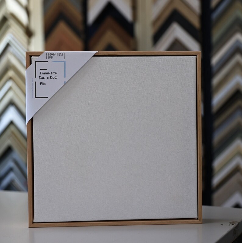 Blank Primed Canvas With Float Frame - Etsy