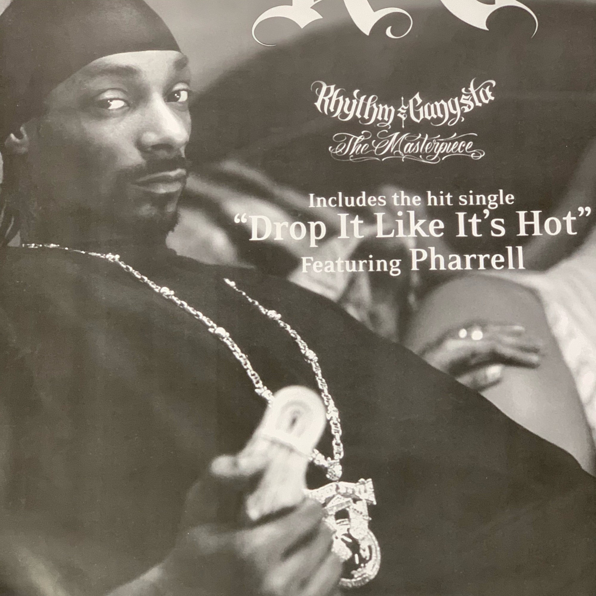 Vintage 2000s Snoop Dogg Rap Poster