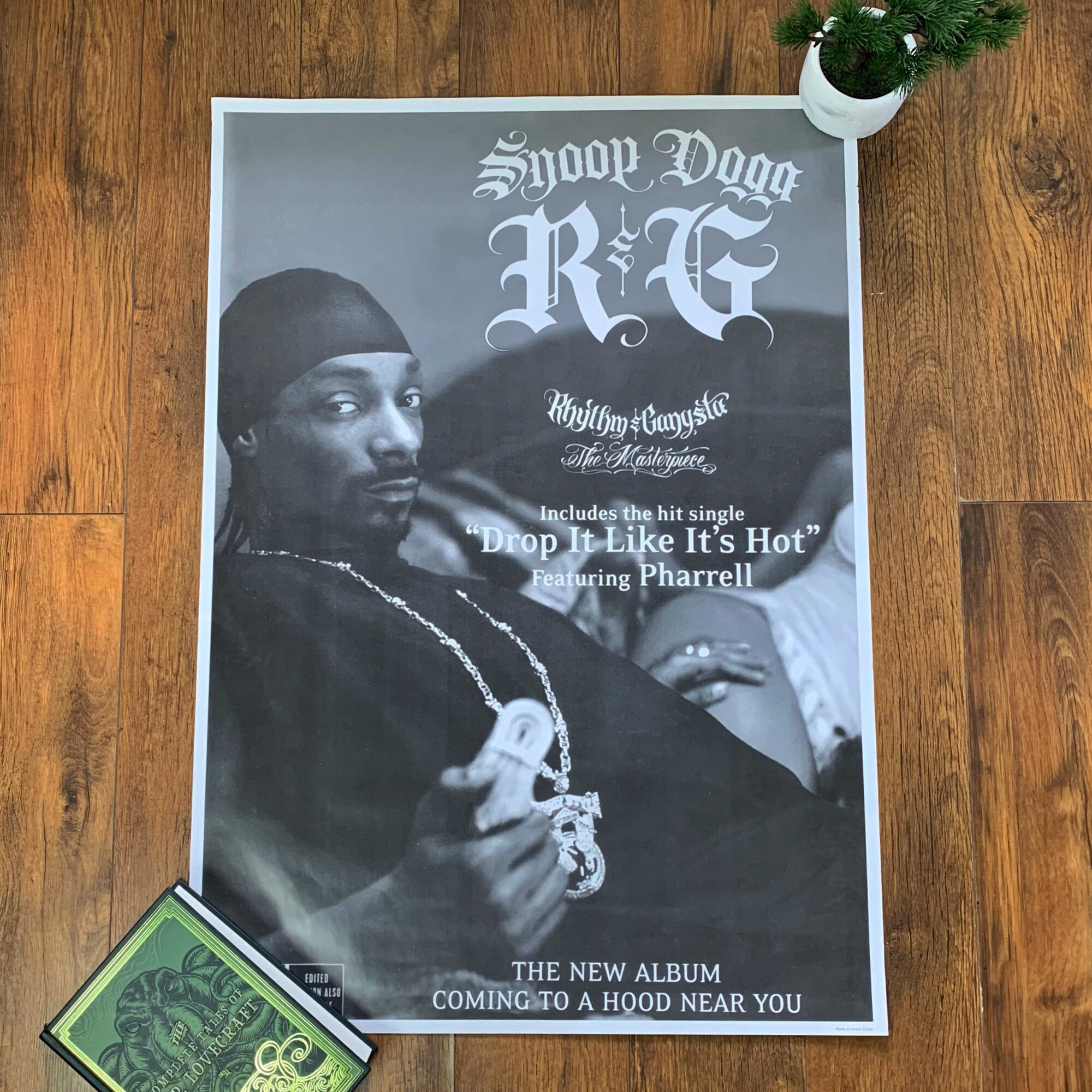 Vintage 2000s Snoop Dogg Rap Poster