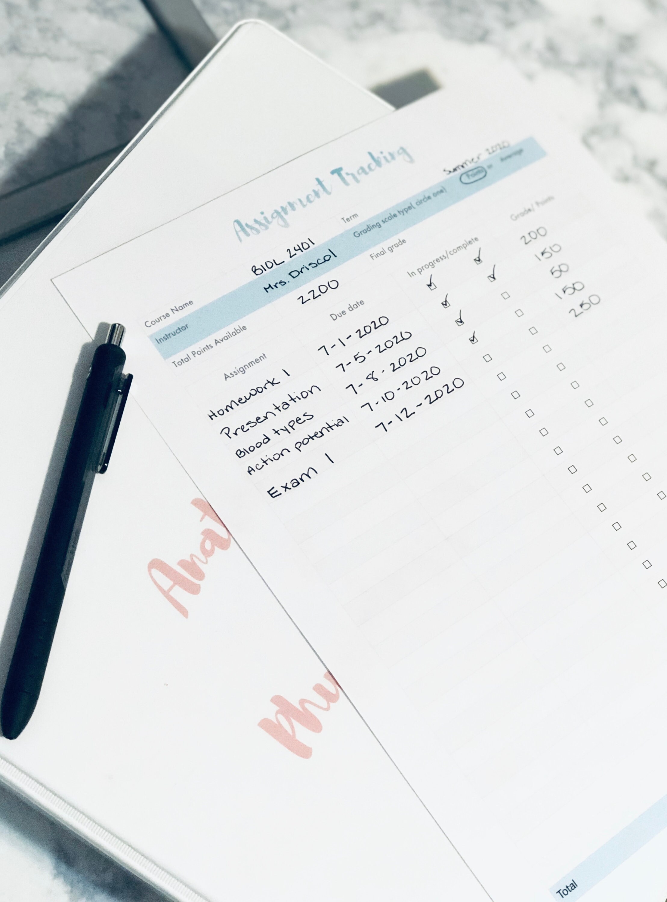 Student Planner Printable Pink Organize Grade Tracking - Etsy