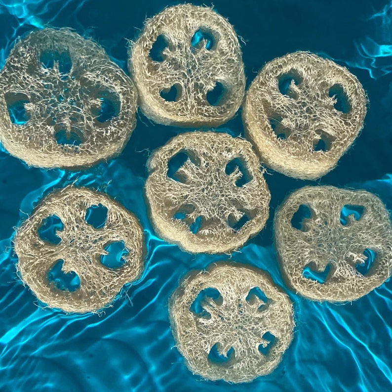 Natural Loofah Slices: Deep Exfoliating Body Scrub - Etsy
