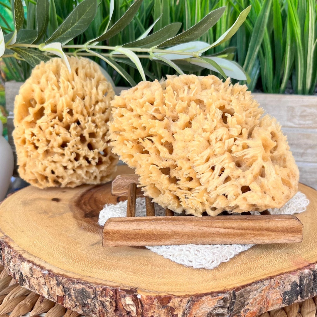Natural Wool Sea Sponge - Etsy