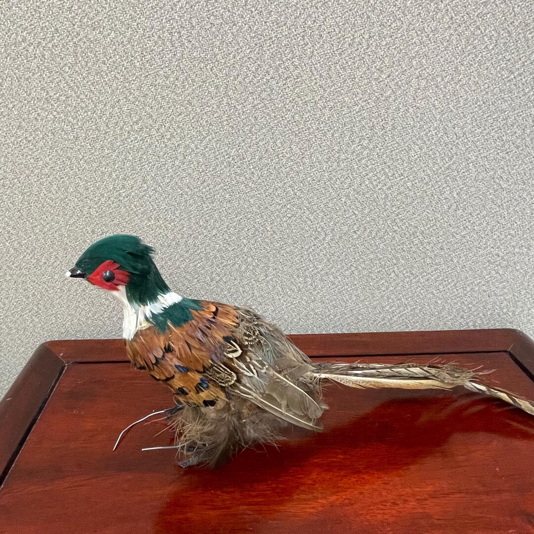 One Pheasant Real Feathers Tree Ornament - Etsy