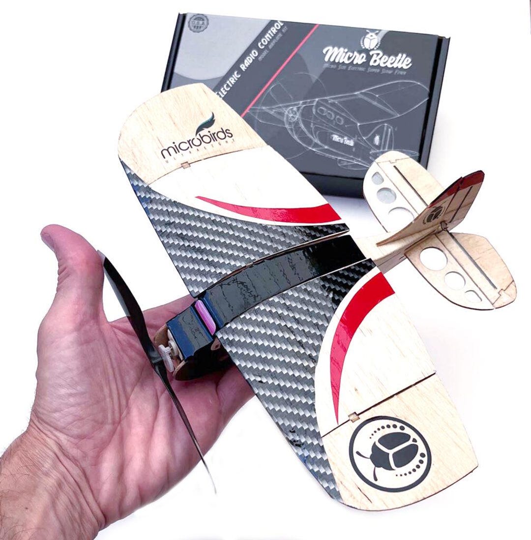 Micro Beetle RC Airplane Kit, Laser Cut Balsa Wood, Hobby Toy - Etsy
