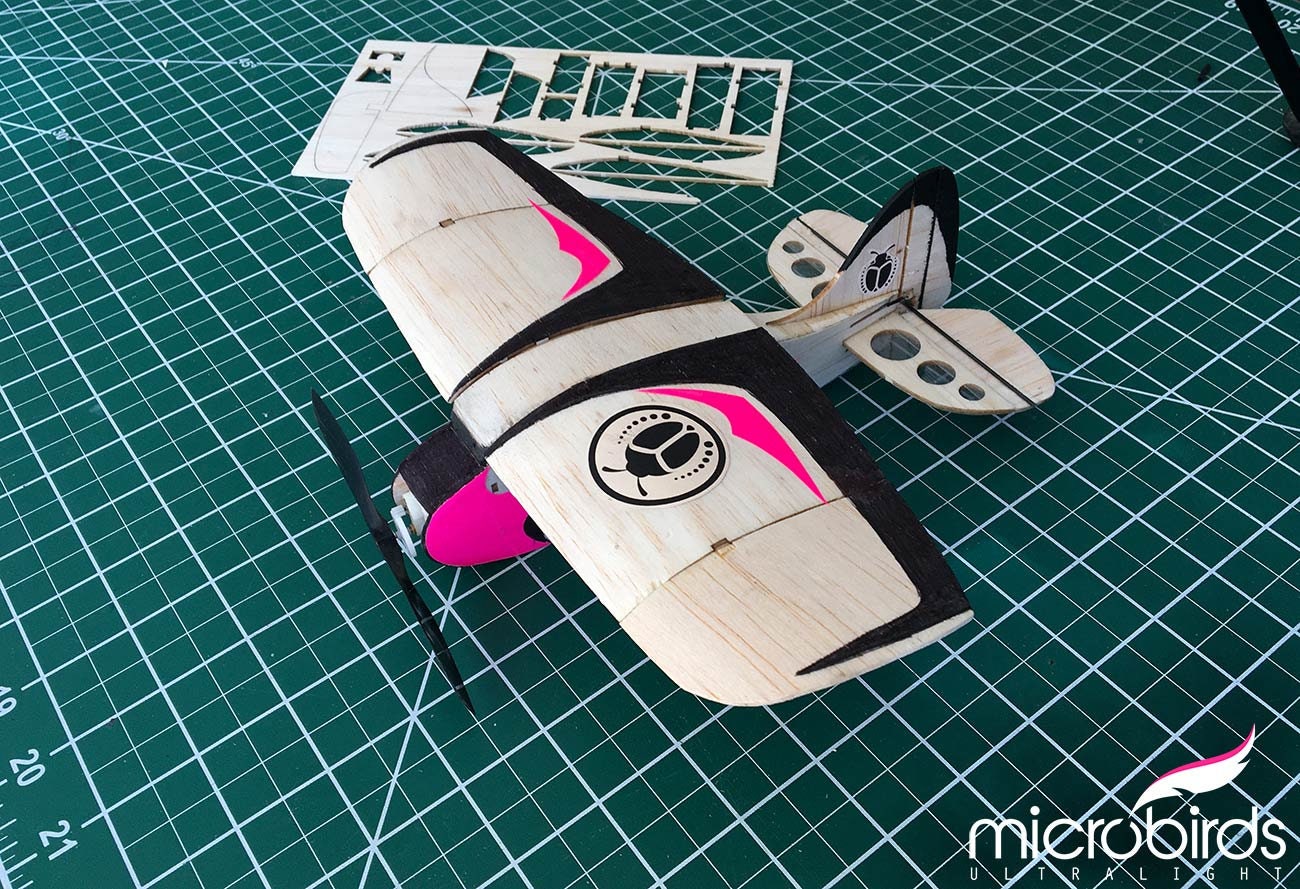 Micro Beetle RC Airplane Kit, Laser Cut Balsa Wood, Hobby Toy - Etsy