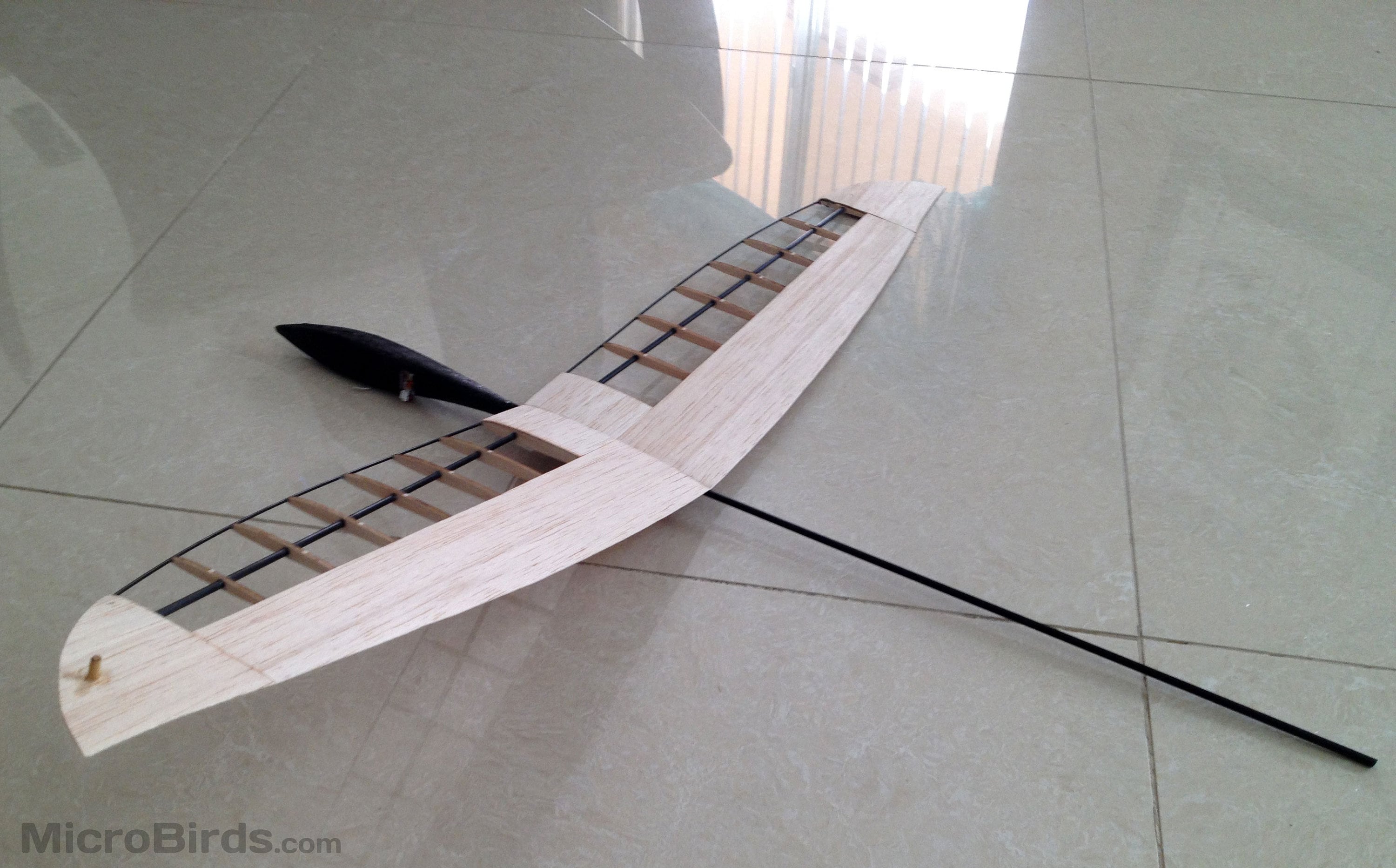 RC Glider Kit Micro Radio Control Glider Feather Squared Balsa Discus ...