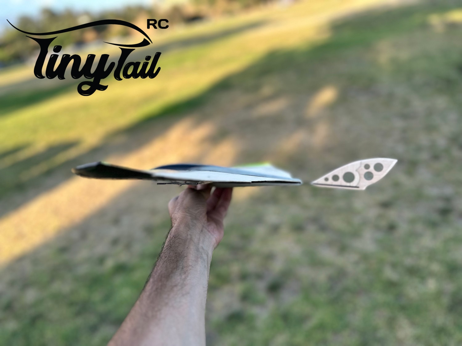Tiny Tail 2ch RC Radio Control Glider Air Plane Kit Free Flight Bungee ...