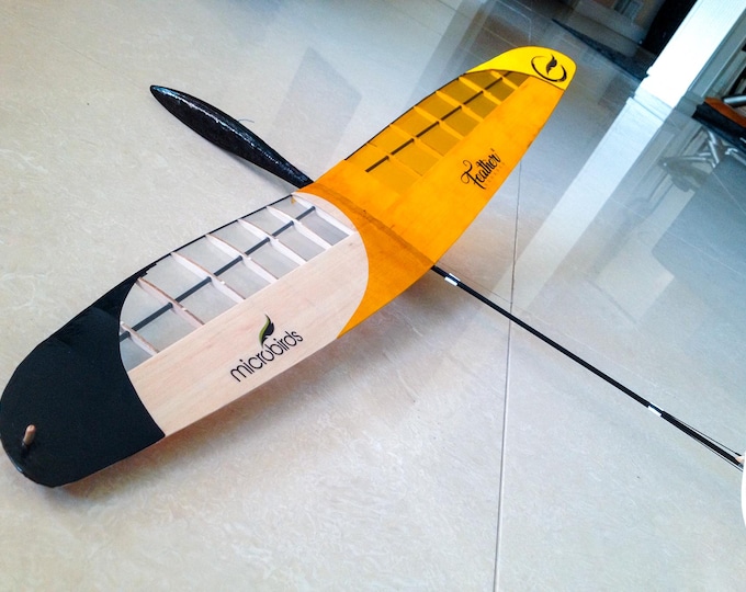 RC Glider Kit Micro Radio Control Glider Feather Squared Balsa Discus ...