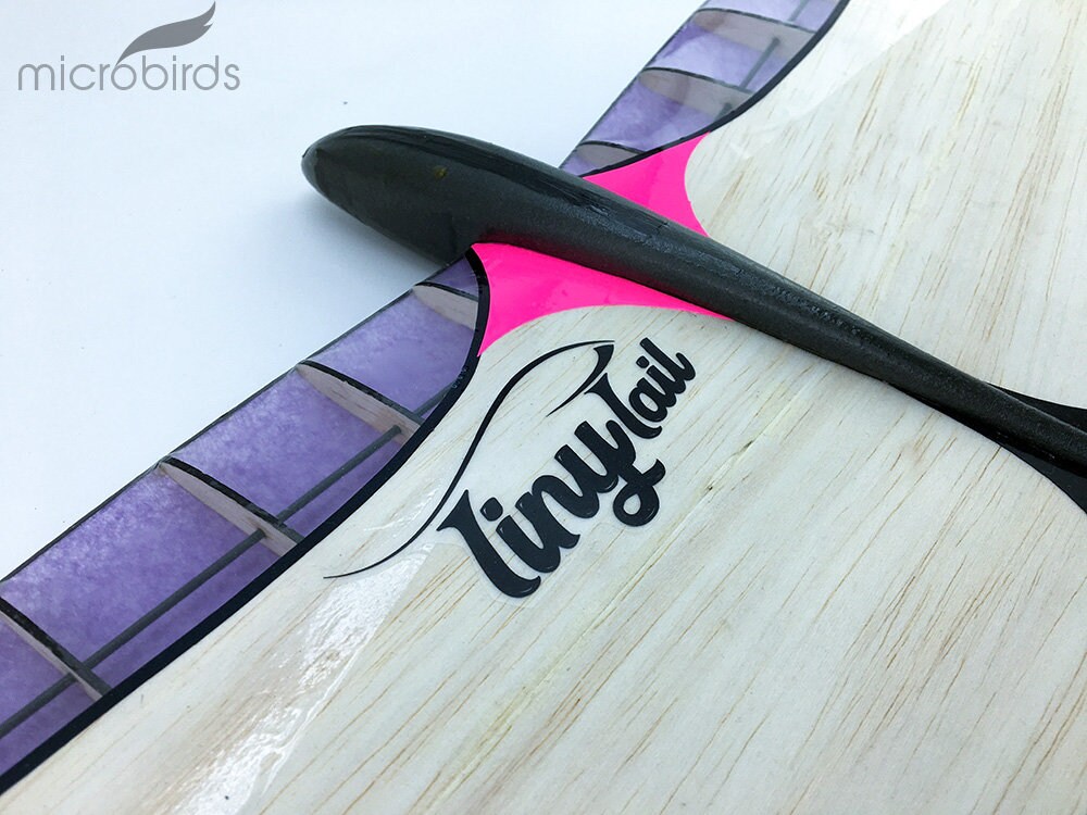 Tiny Tail 2ch RC Radio Control Glider Air Plane Kit Free Flight Bungee ...