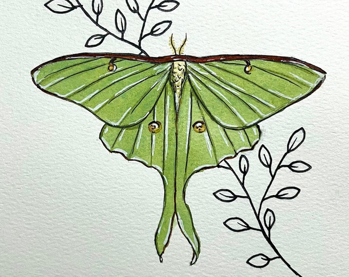Luna Moth Original Watercolor Painting, Small Luna Moon Moth Art, Moth ...