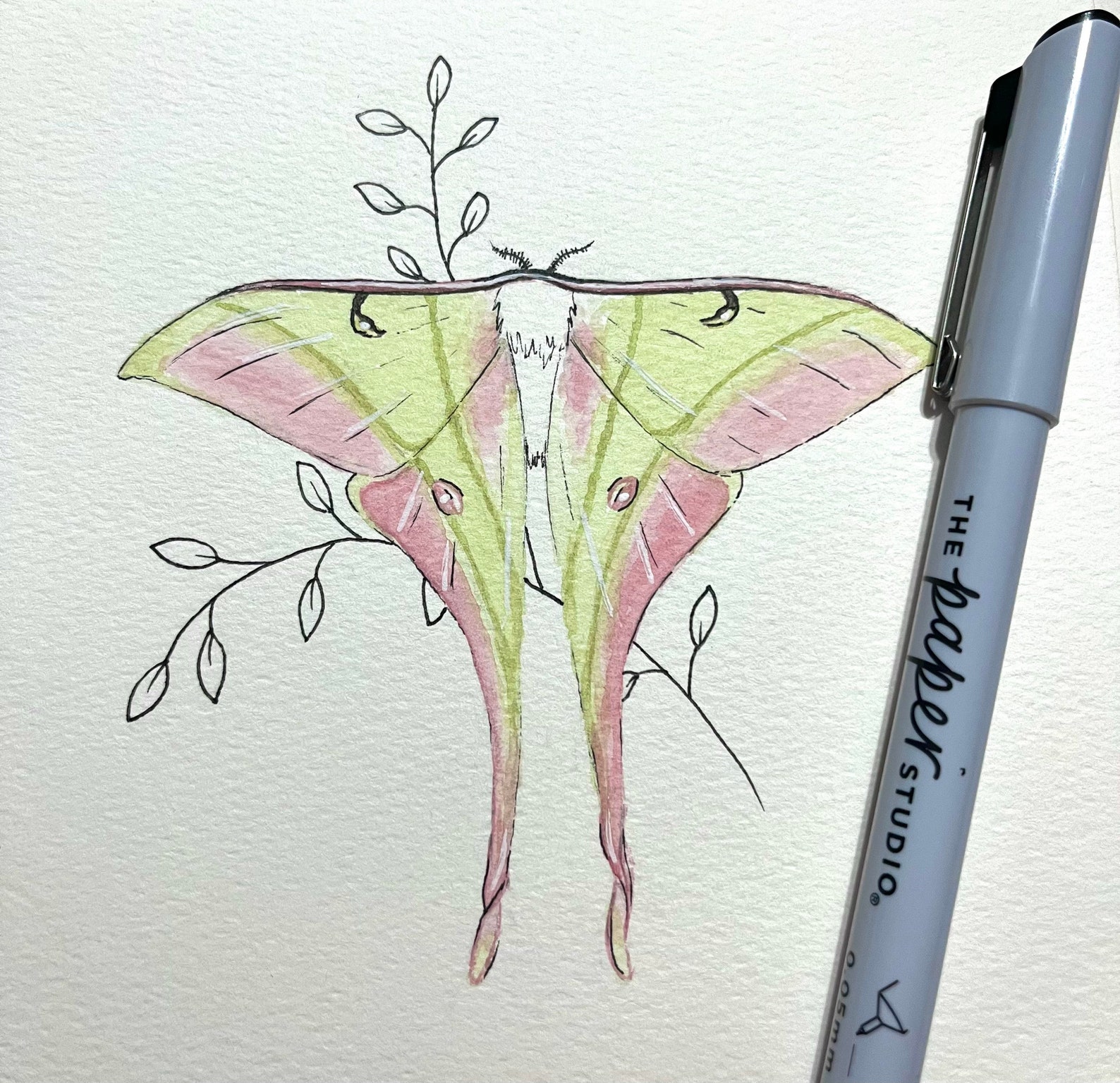 Pink Spirit Moth Watercolor Painting, Original Insect Art, 6x6 - Etsy