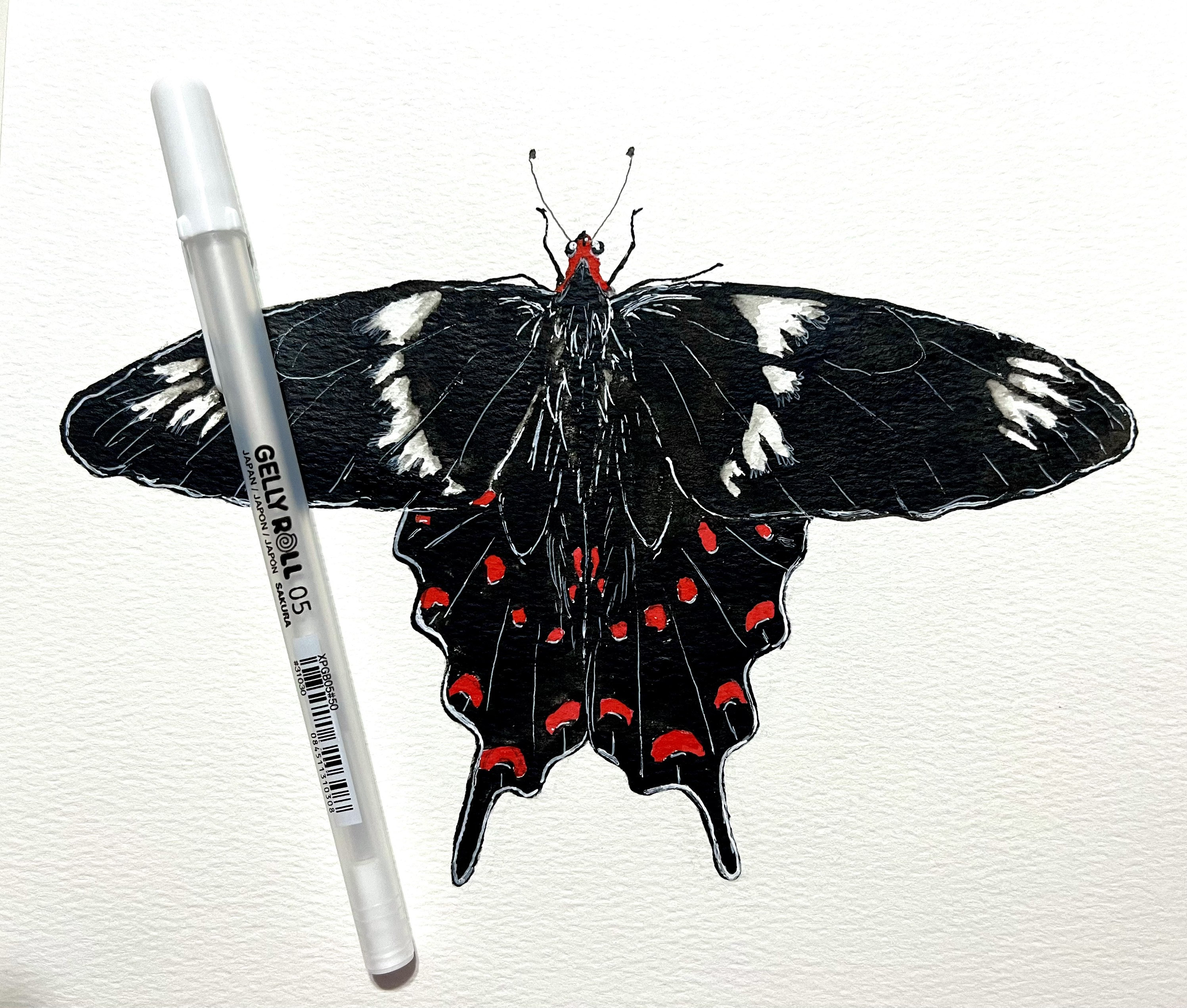 Crimson Rose Swallowtail Butterfly Original Watercolor Black - Etsy