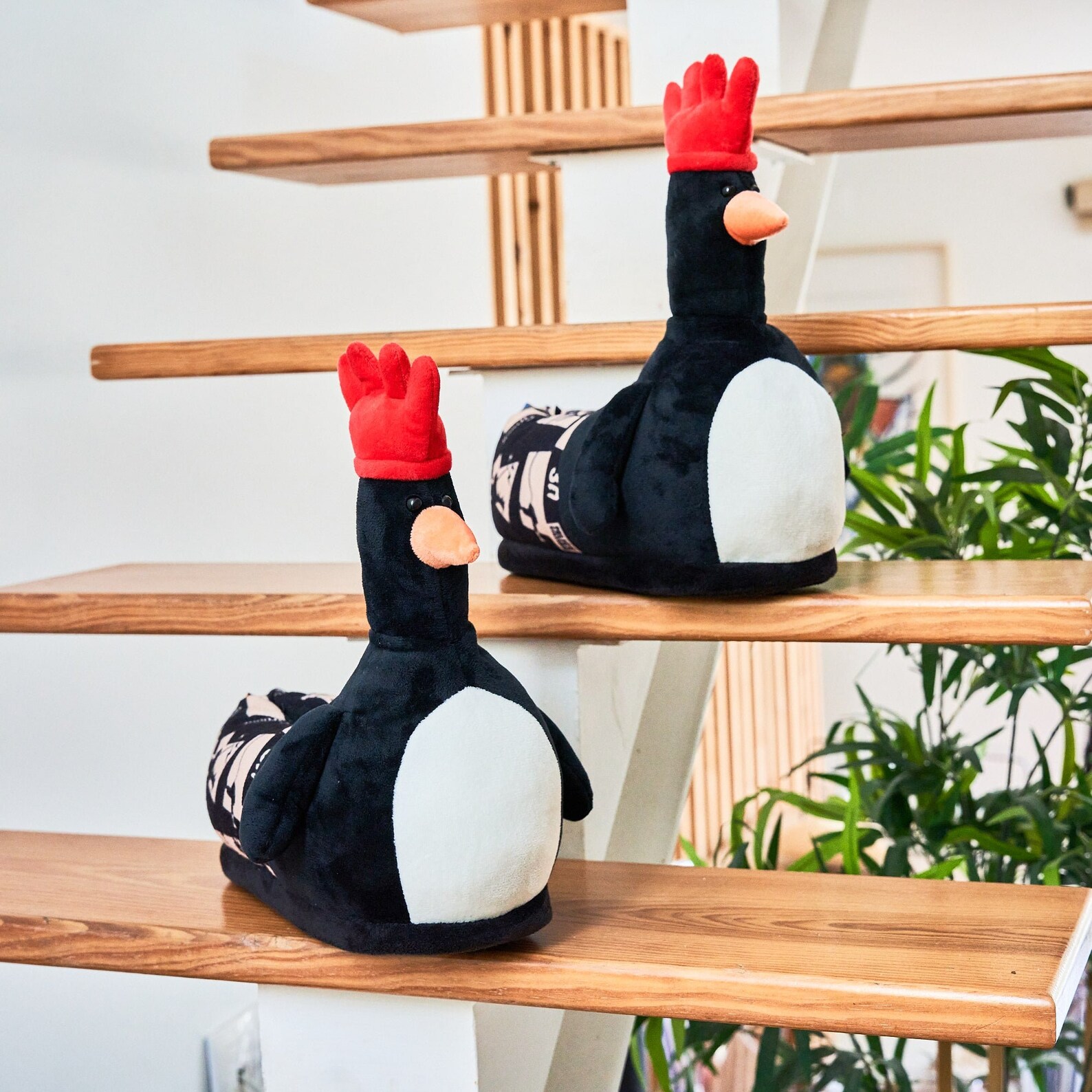 Coddies Feathers Mcgraw Slippers - Official Wallace and Gromit ...