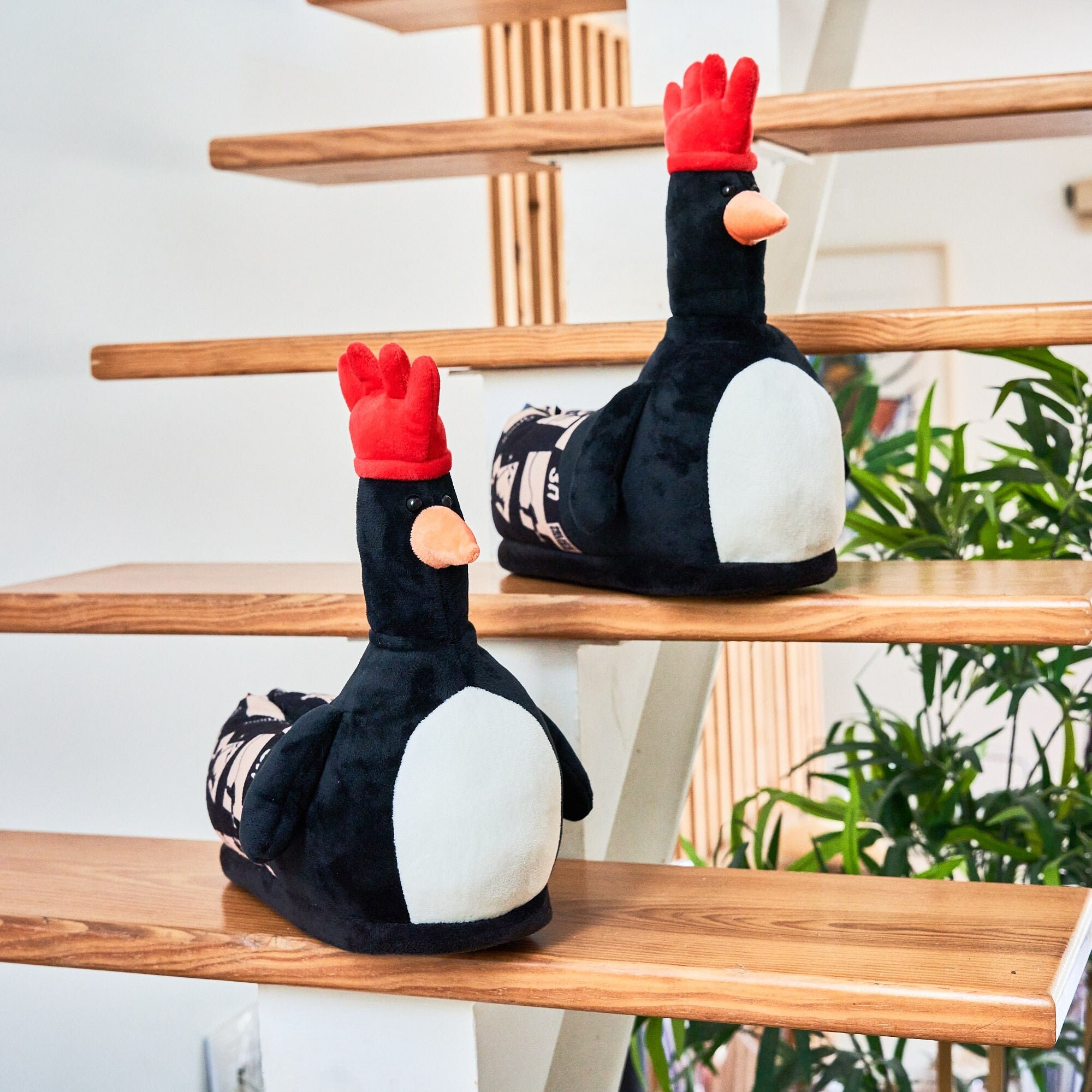 Coddies Feathers Mcgraw Slippers - Official Wallace and Gromit ...