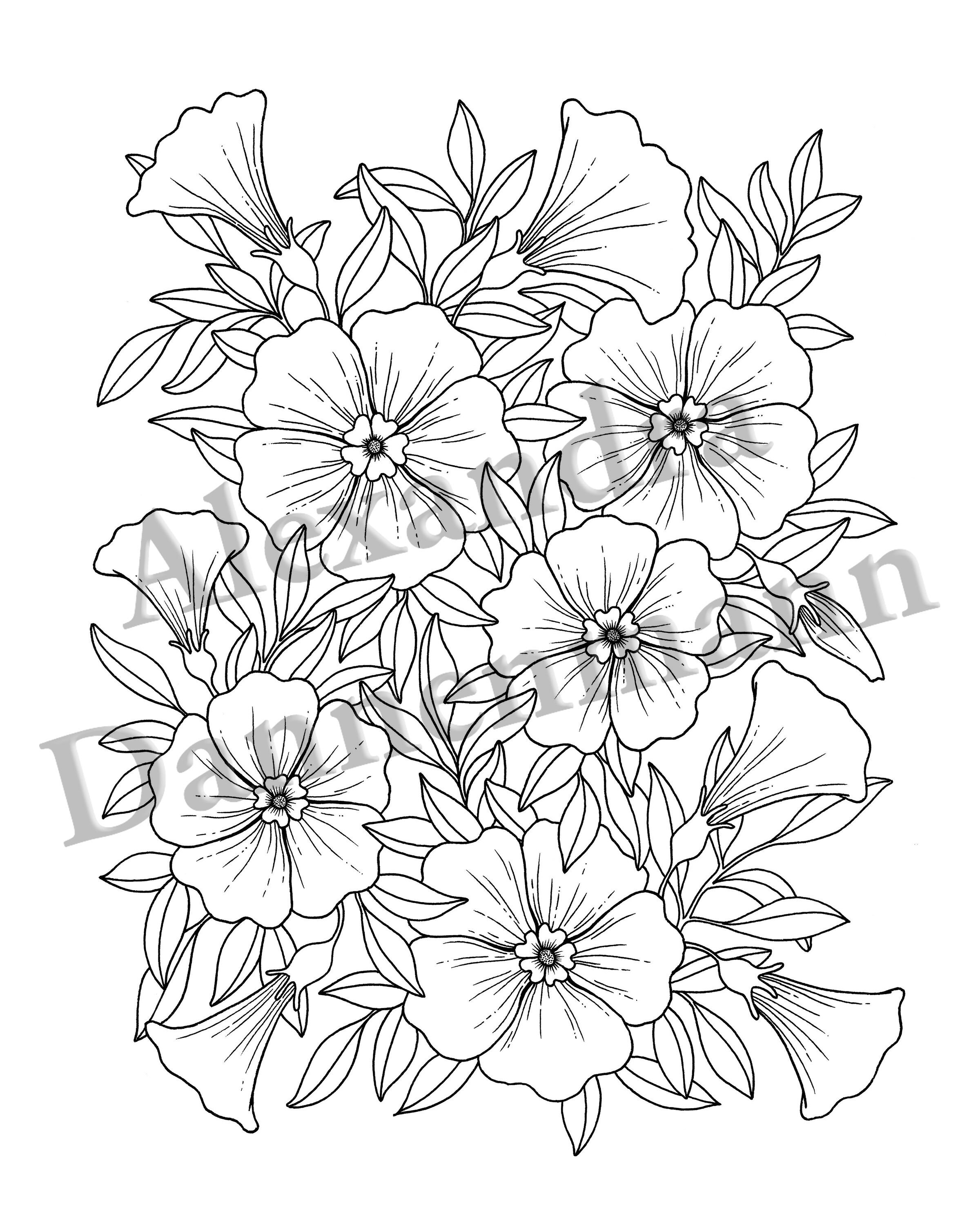 Printable Digital Coloring Page for Grownups HELLO SPRING | Etsy