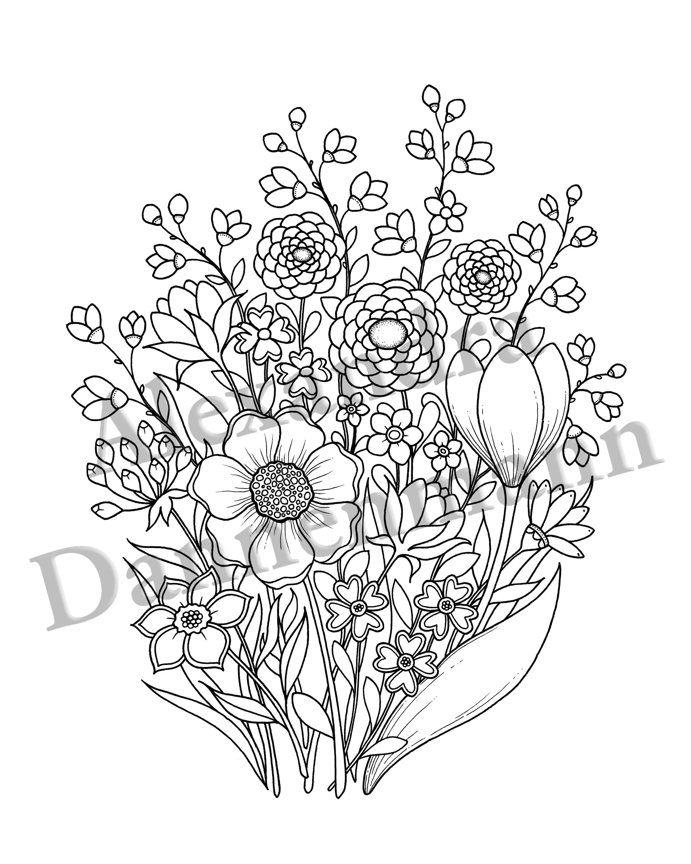 Printable Digital Coloring Page for Grownups HELLO SPRING - Etsy