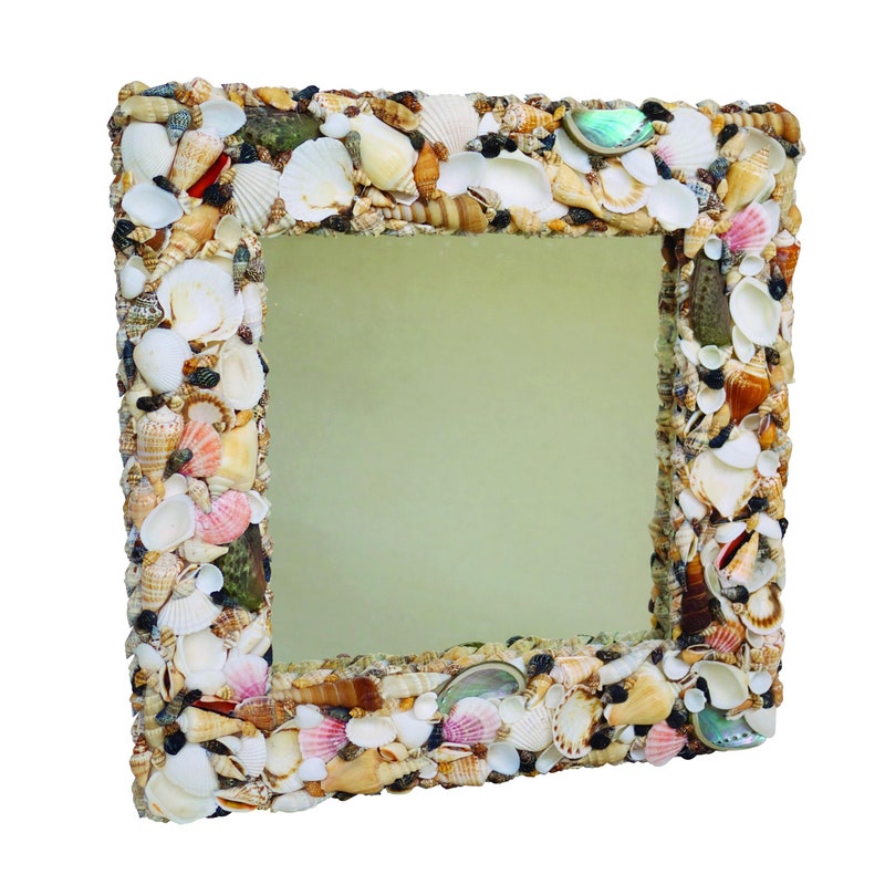 Sea Shell Wall Mirror - Etsy