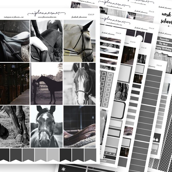 Planner Sticker Kit - Etsy