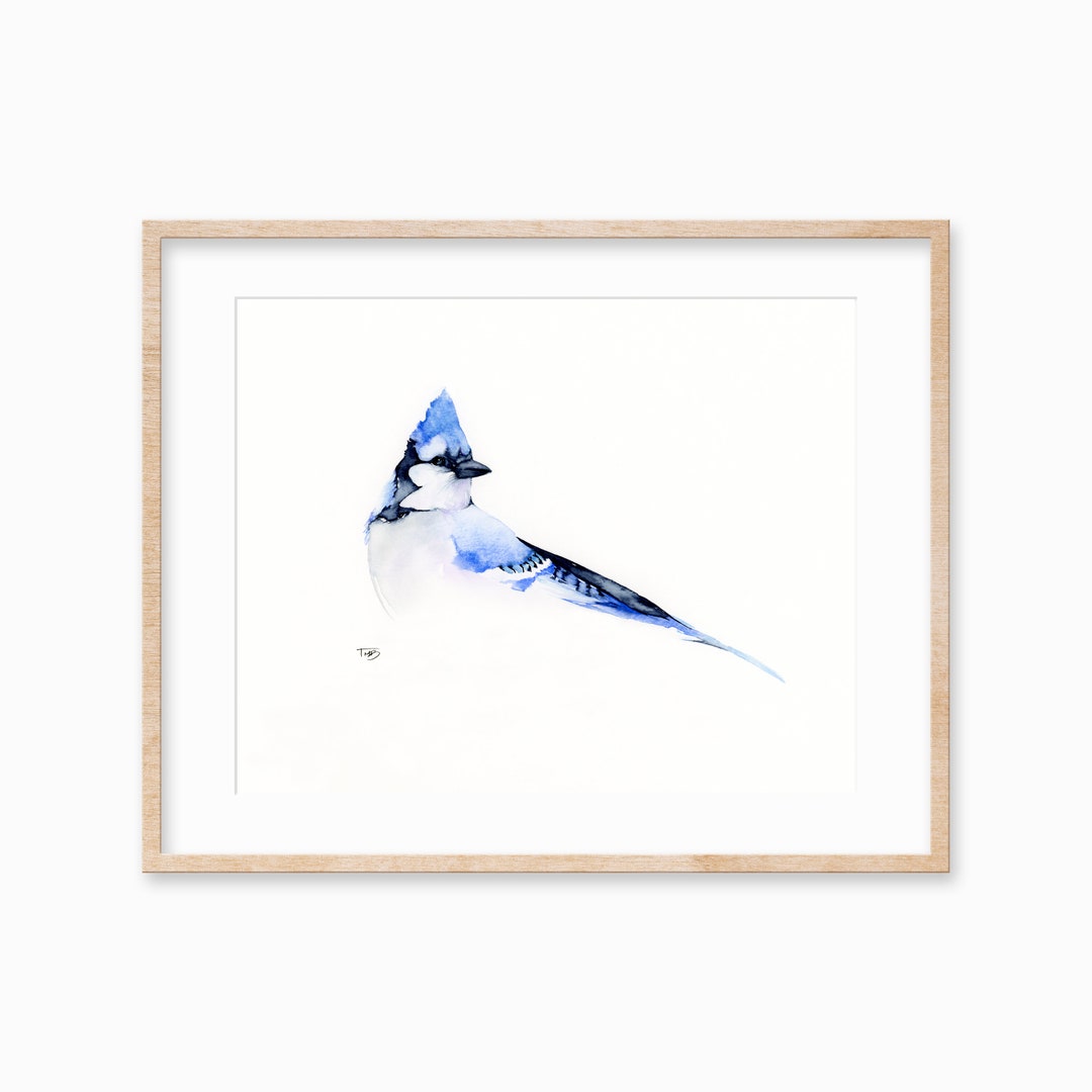 Blue Jay Profile - Watercolor Print - Etsy
