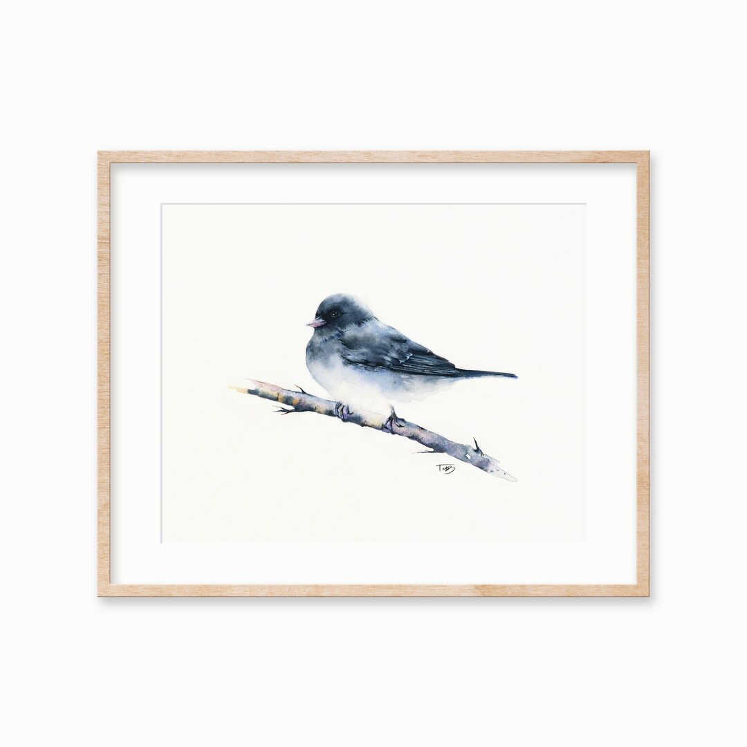 Male Dark-eyed Junco - Watercolor Print - Etsy