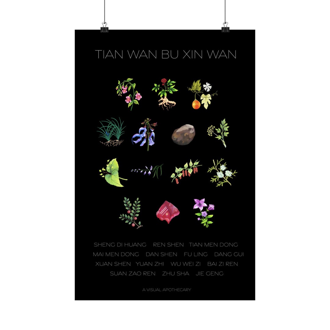 Chinese Herbal Medicine Formula Print Tian Wan Bu Xin Wan Herbal ...