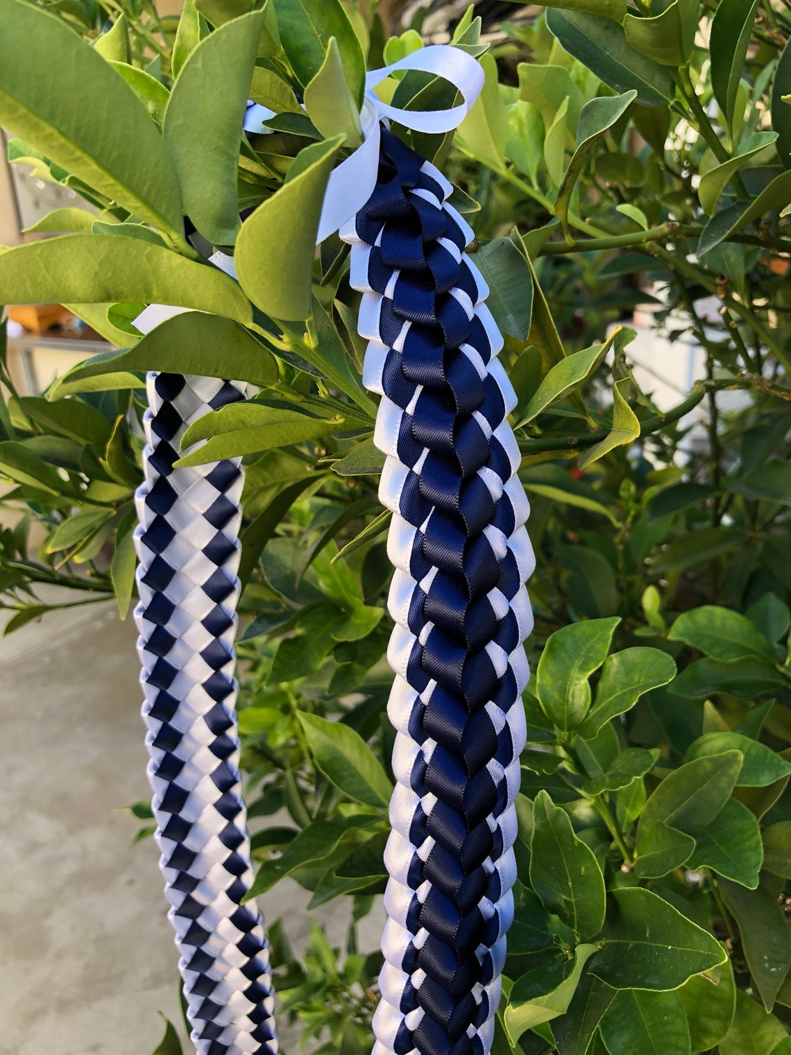 Customized Choose Your Colors Satin Double Ribbon Graduation | Etsy