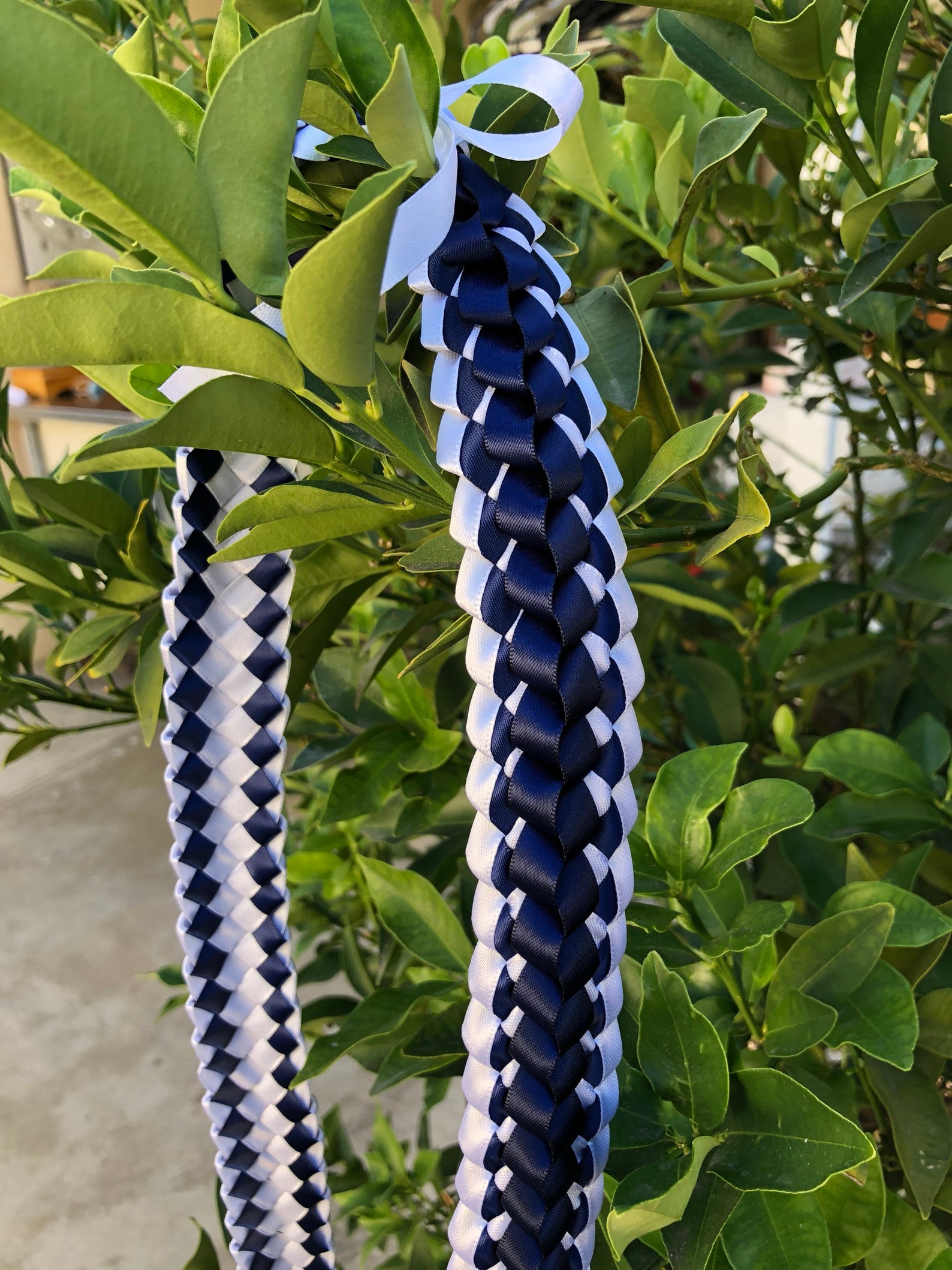 Customized Choose Your Colors Satin Double Ribbon Graduation - Etsy