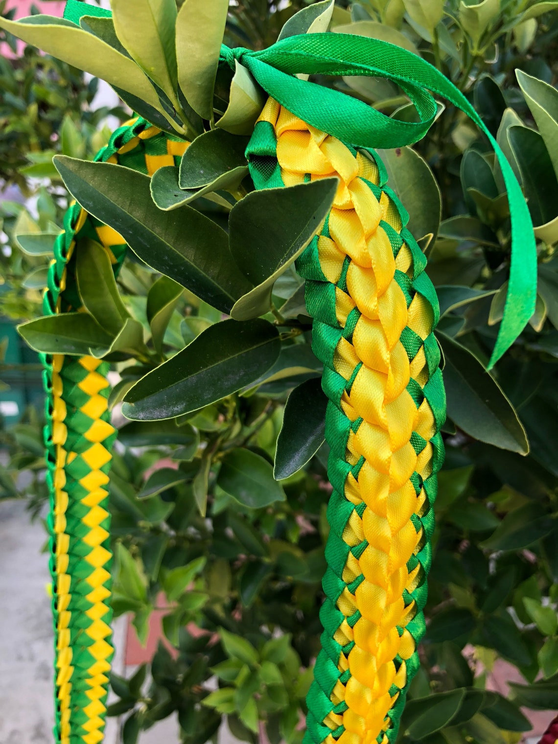 Customized Choose Your Colors Satin Double Ribbon Graduation - Etsy