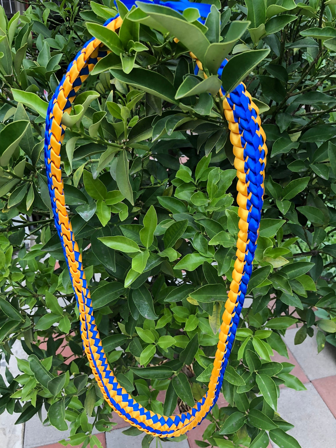 Customized Choose Your Colors Satin Double Ribbon Graduation | Etsy