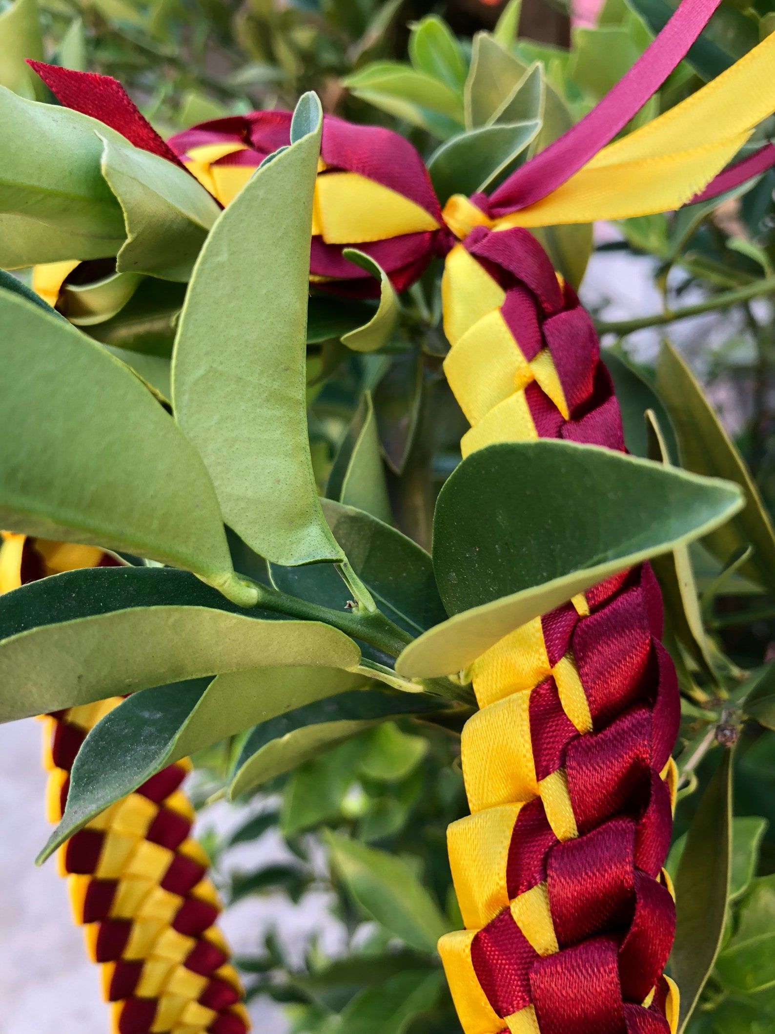 Customized Choose Your Colors Satin Double Ribbon Graduation - Etsy