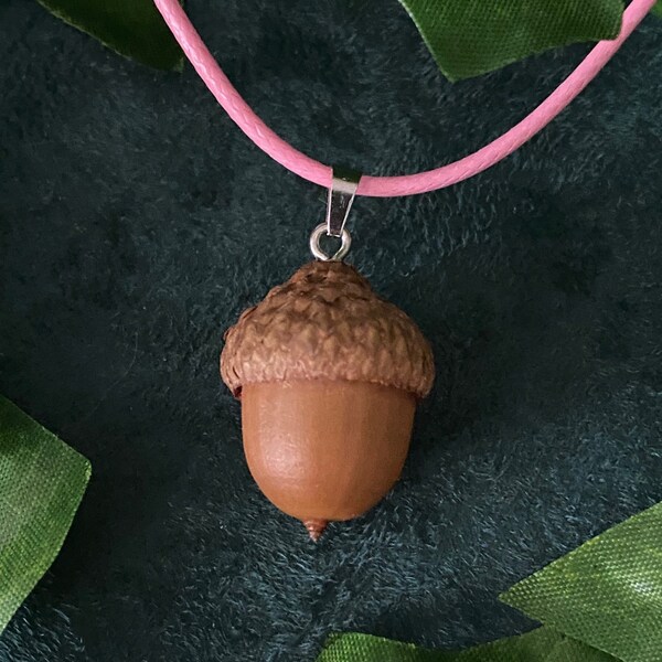 Real Acorn - Etsy