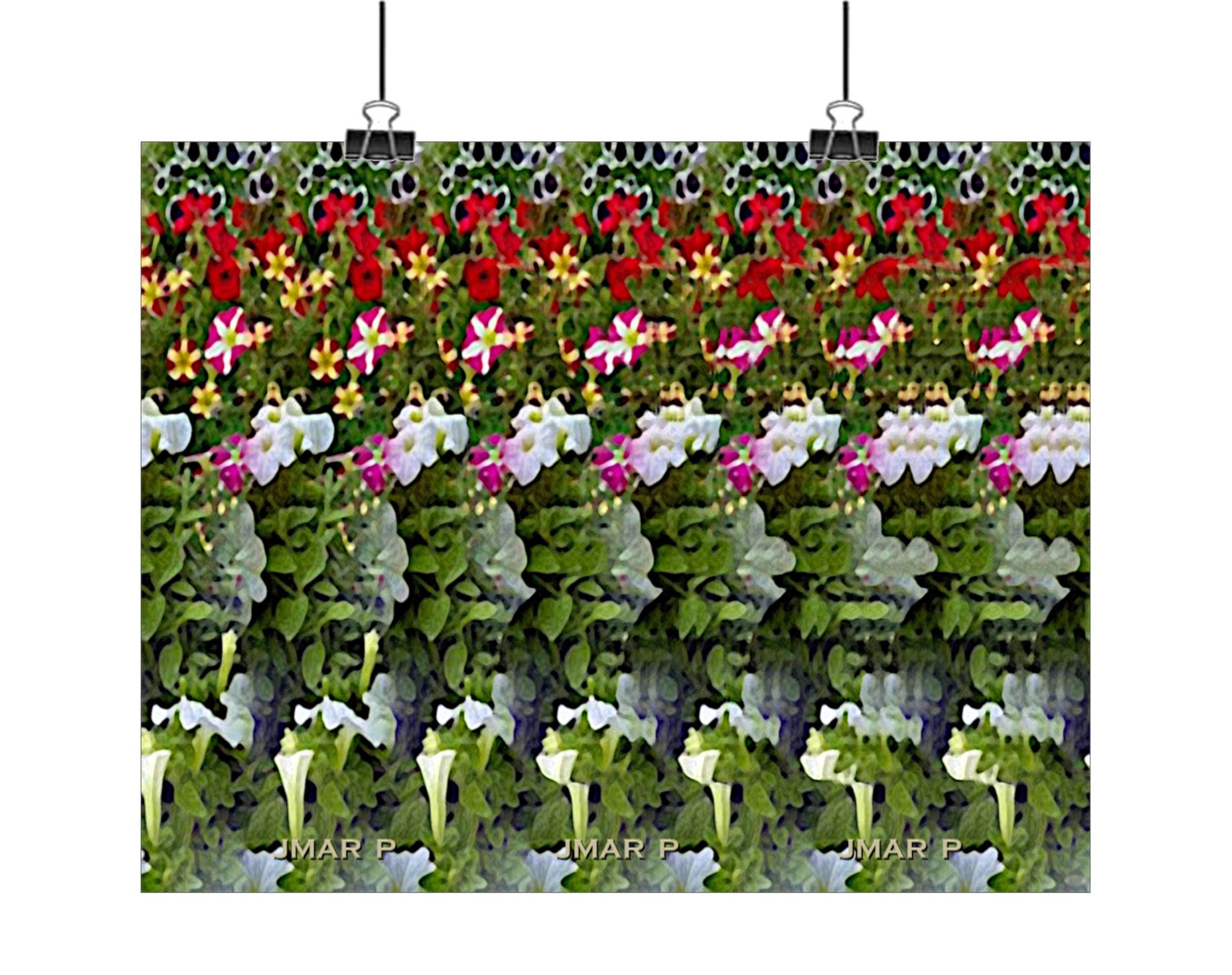 GARDEN BUTTERFLY Stereogram POSTER, Unframed 11x9, 14x11, 18x14, 20x16 ...