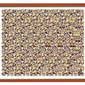 DONUT STEREOGRAM Secret Message Wall Art Canvas Print - Etsy