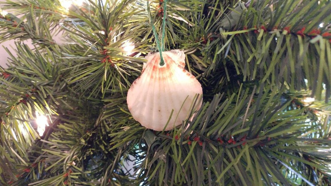 Sea Turtle Christmas Ornament - Etsy