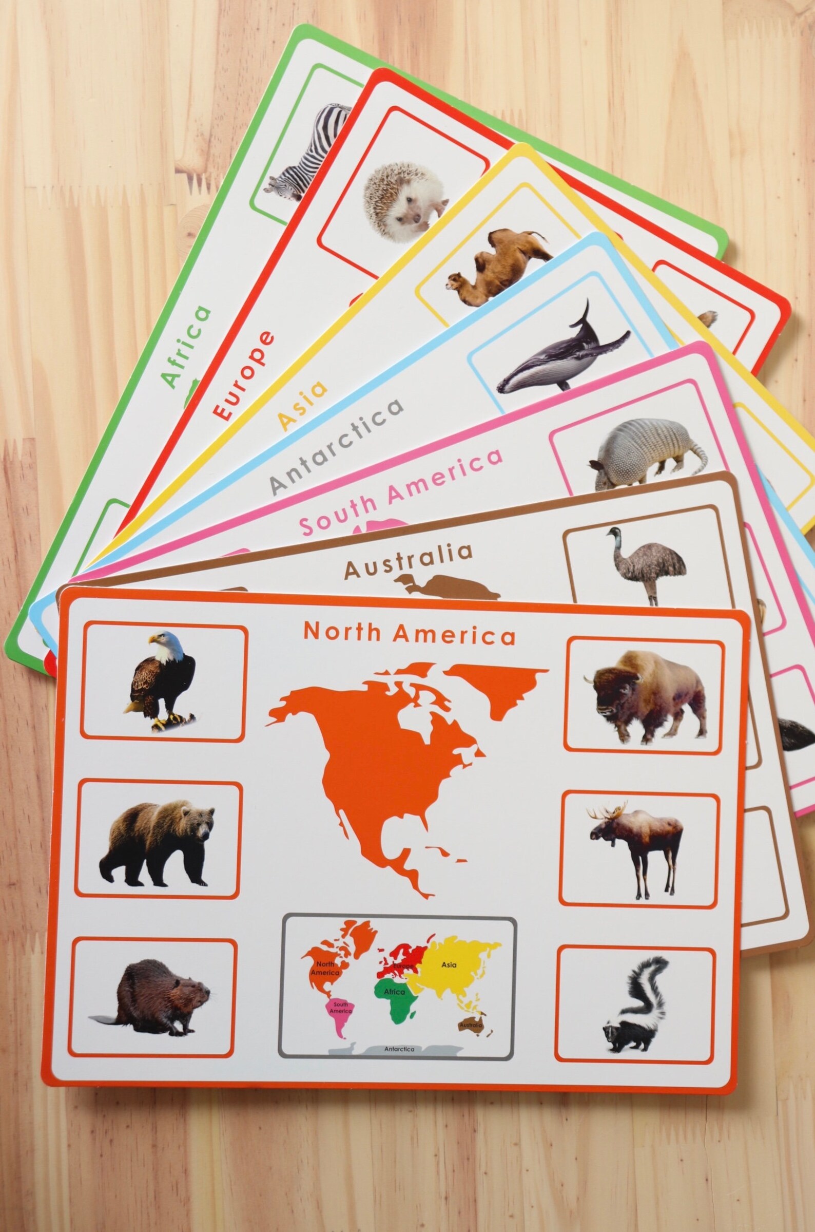 Montessori Animals and Continents Sorting Cards - Etsy