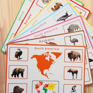 Montessori Animals and Continents Sorting Cards - Etsy