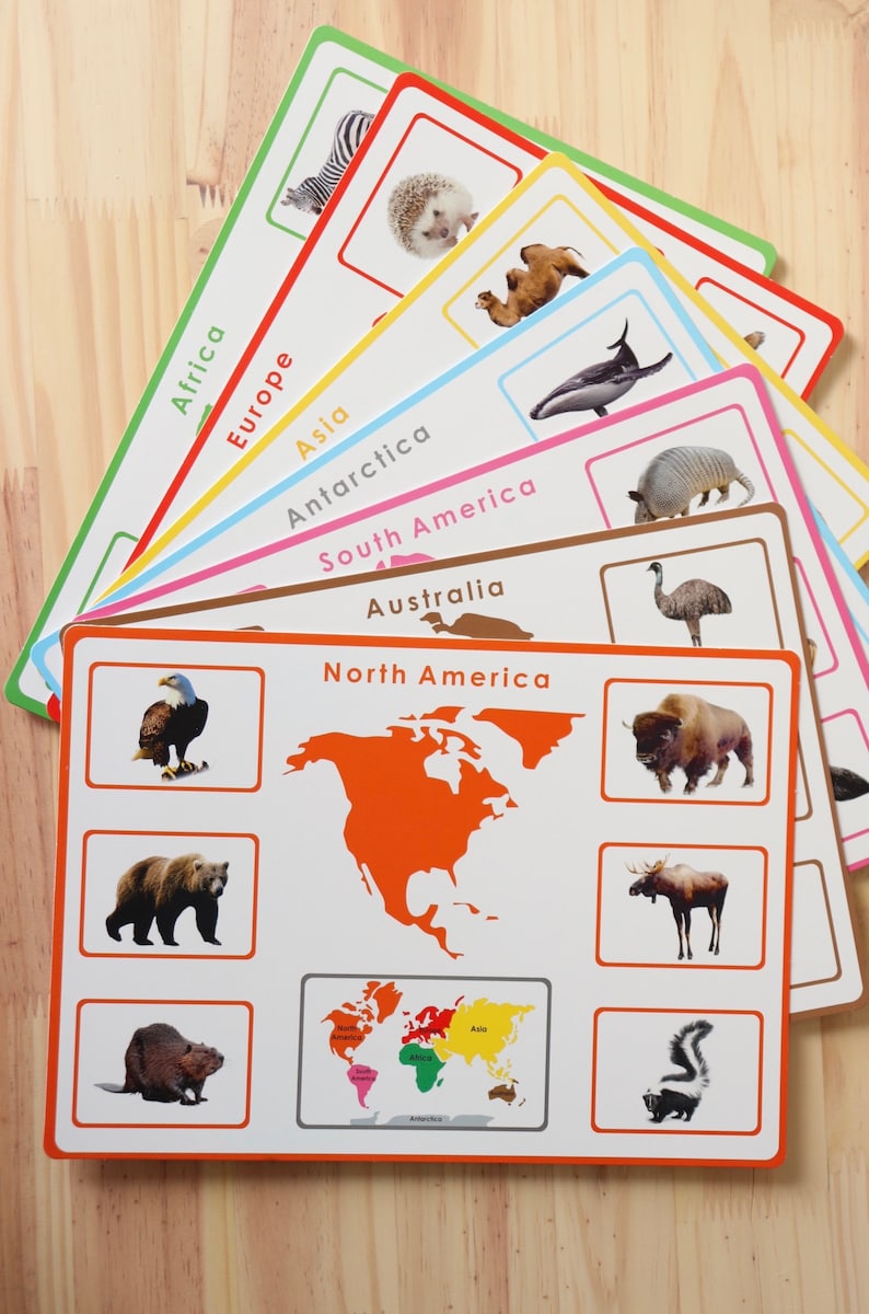 Montessori Animals and Continents Cards/montessori Flash Card/ - Etsy